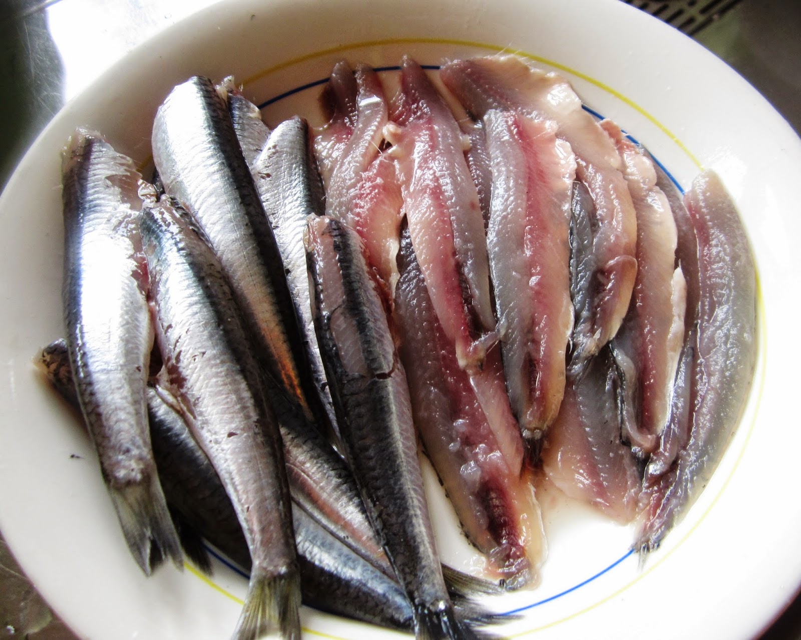 El rincón de Mundín: PESCADOS: EL BOCARTE O BOQUERÓN