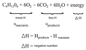 Molecular HydroCarbons: Energy in the Equation & Energy Calculations