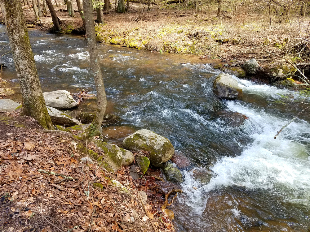 Hiking Trails in NJ and PA: Hiking the Van Campens Glen Trail