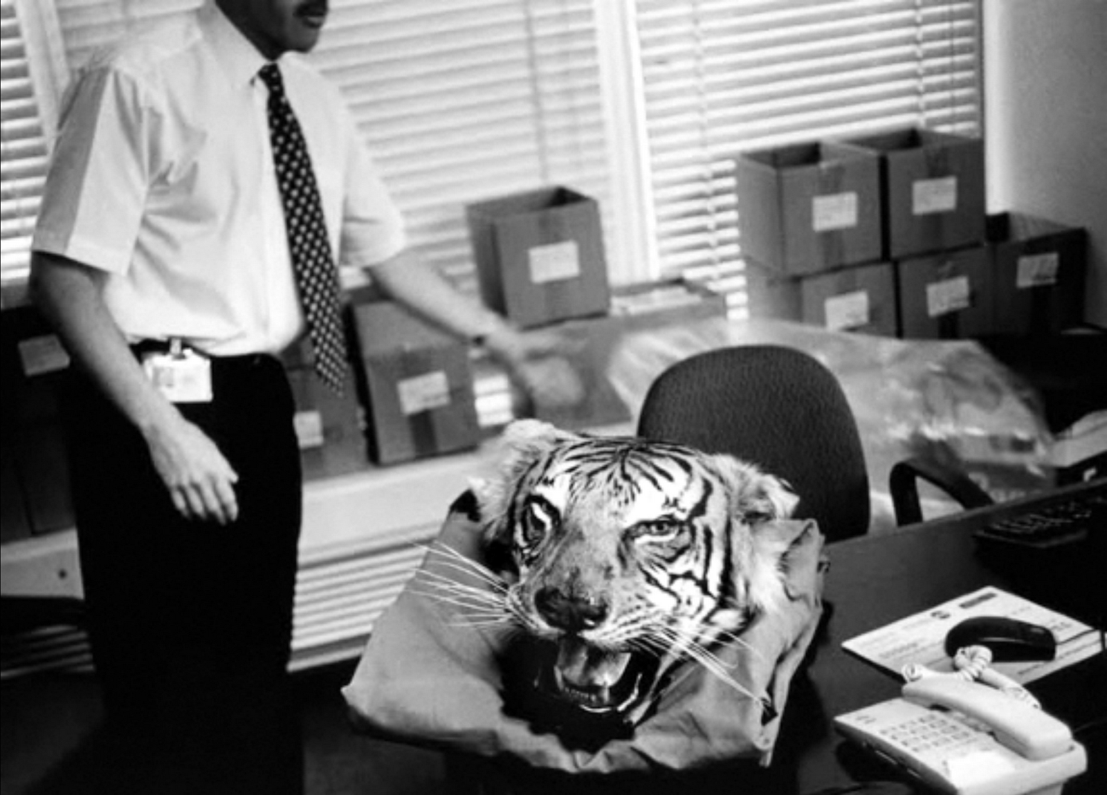 Anthony Luke's not-just-another-photoblog Blog: Trading to Extinction ...