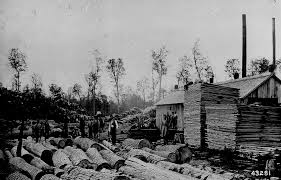 Heroes, Heroines, and History: Michigan’s Logging Era