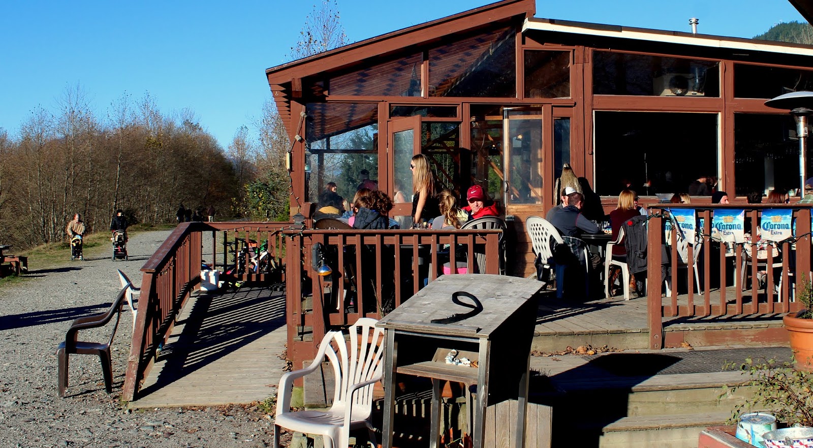 The Murray Chronicles : The amazing Broken Shed Caesar at the WaterShed ...