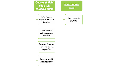 MRI Musculo-Skeletal Section: Coracoid bursa.