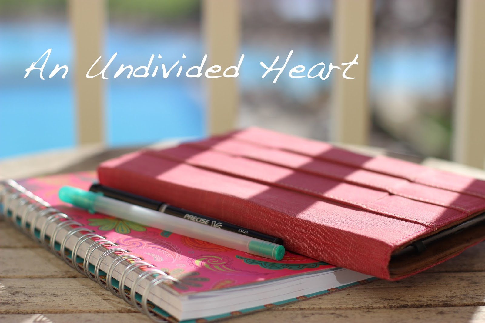 Pursuing Heart: An Undivided Heart