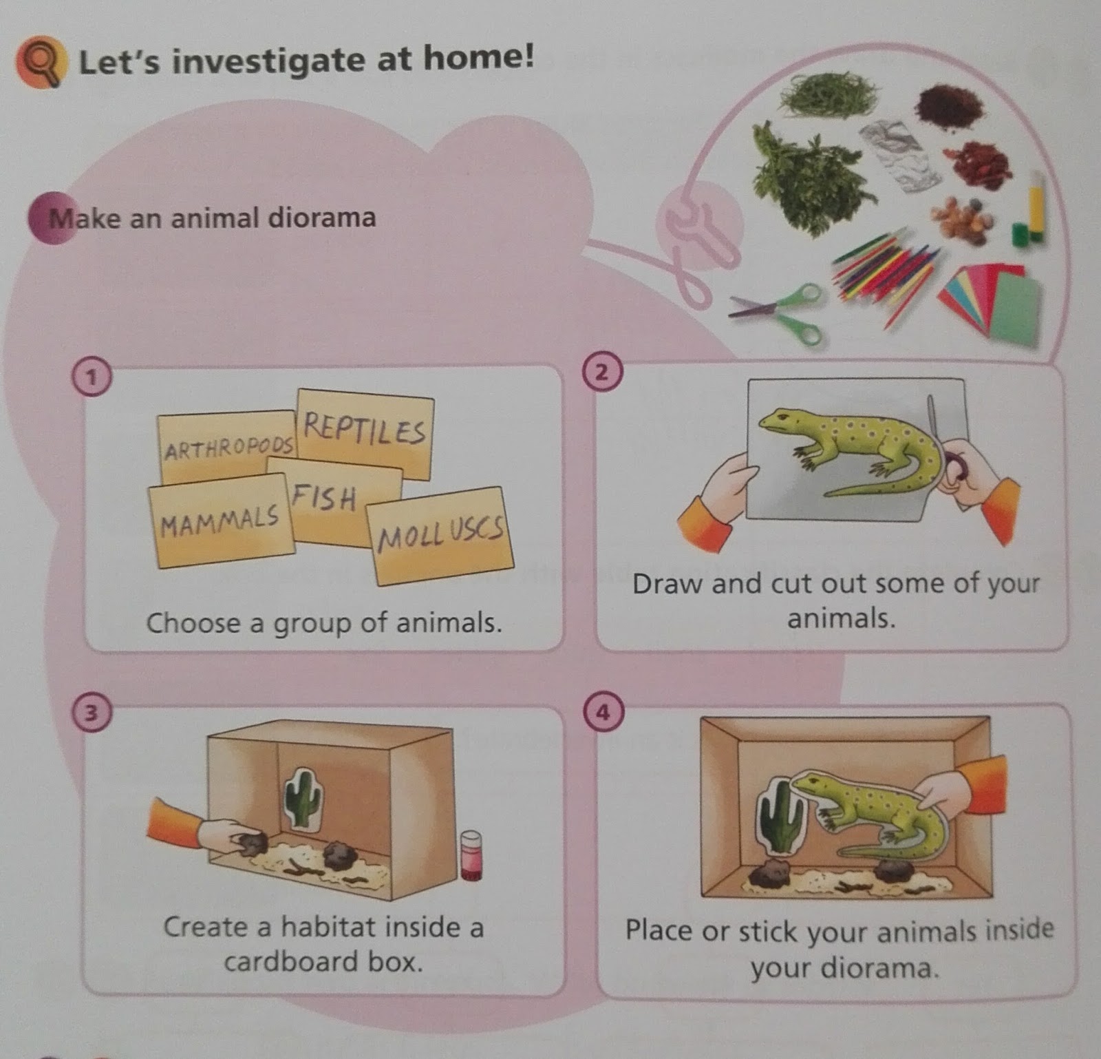 Animal Kingdom Science Project