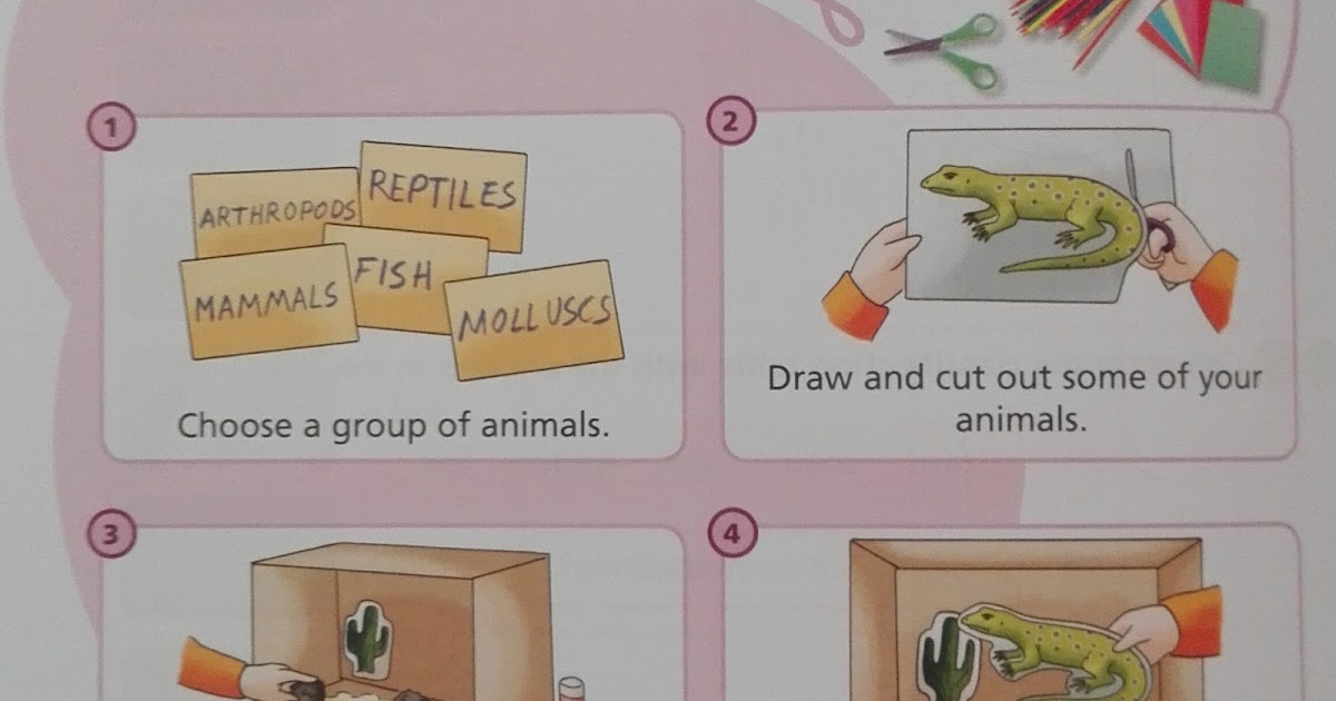 MY LITTLE WONDERLAND: Natural Science Project: The animal kingdom