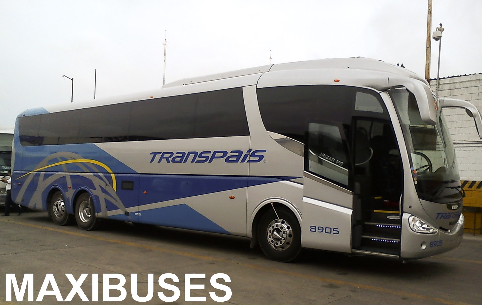 MAXIBUSES: TRANSPAÍS - NUEVAS UNIDADES