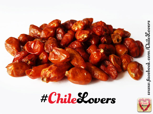 Chile Lovers Tips: Cayena