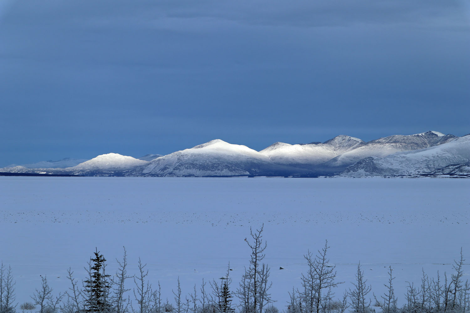 Fairbanks Winter: Quest Accomplished