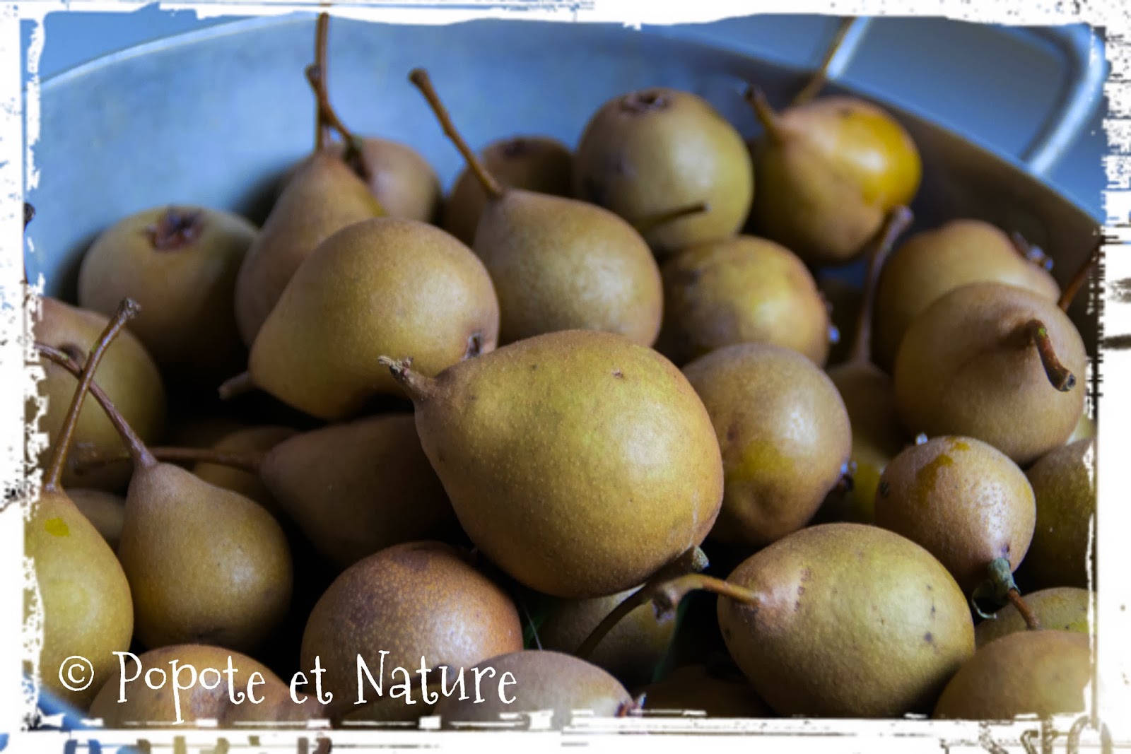 Popote et Nature: Cuisinons les bontés de Dame Nature
