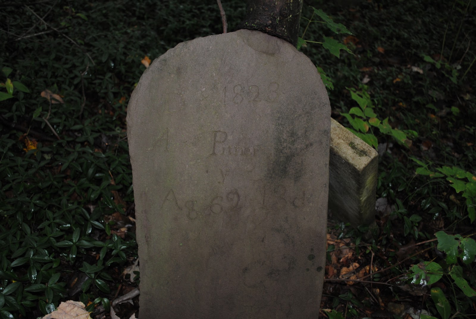 Persing & Bieda Family History: Presbyterian Chapel Cemetery