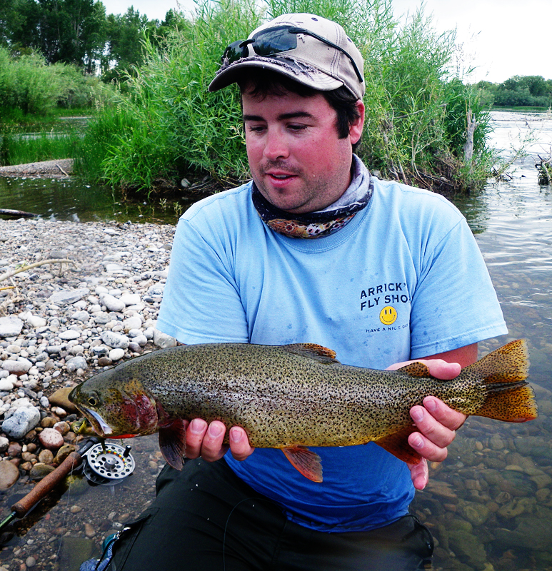 Living Fly Legacy: Neascus trematode: It's a Dam Shame