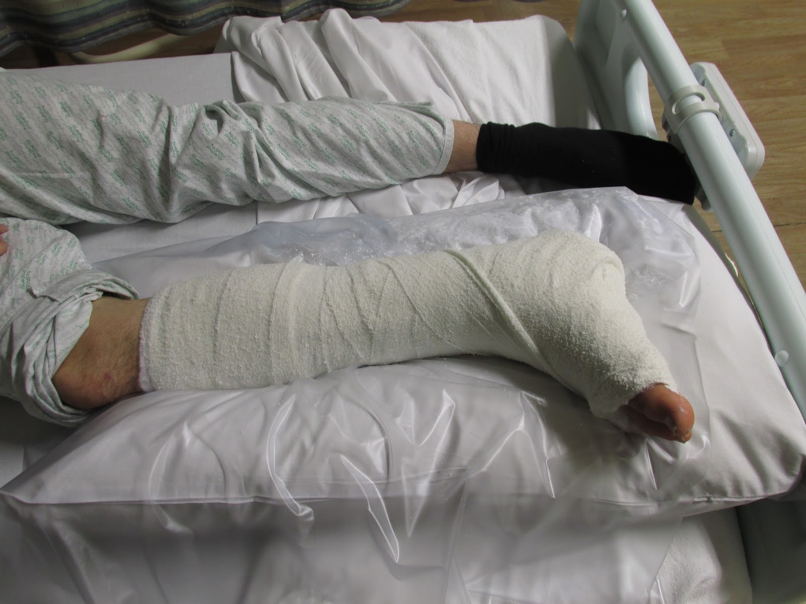 A Quiet Gardening Life : Life just keeps on rolling along!I