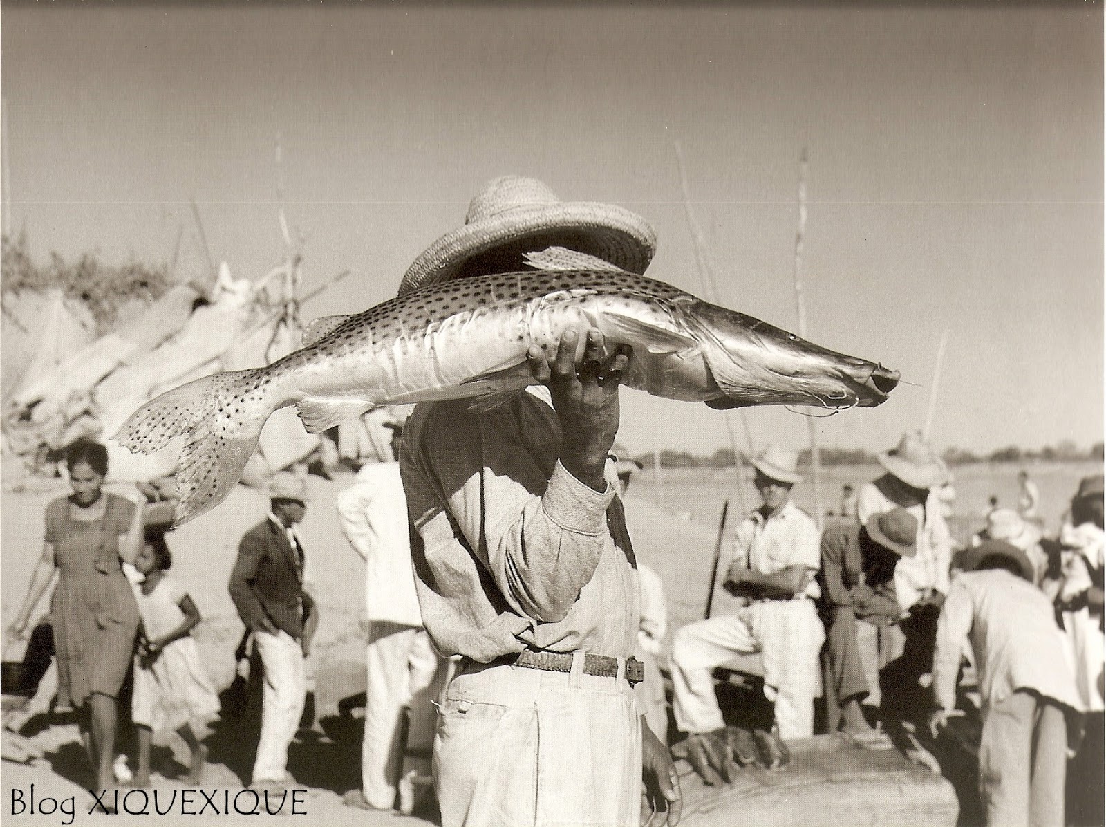 Blog XIQUE XIQUE: Foto do Rio São Francisco: O PESCADOR E O SURUBIM