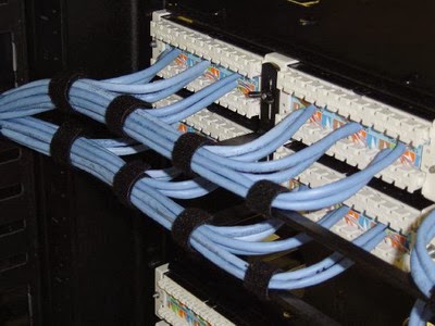 Fijar Un Cable UTP Dentro De Un Patch Panel - La Rama Ancestral