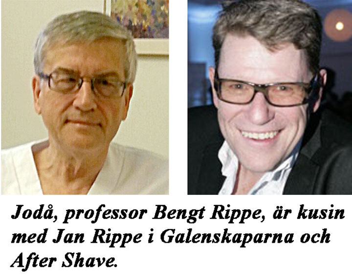 Calle Rockbäcks BLOGG: Bengt Rippe-saltaste professorn som håller ...
