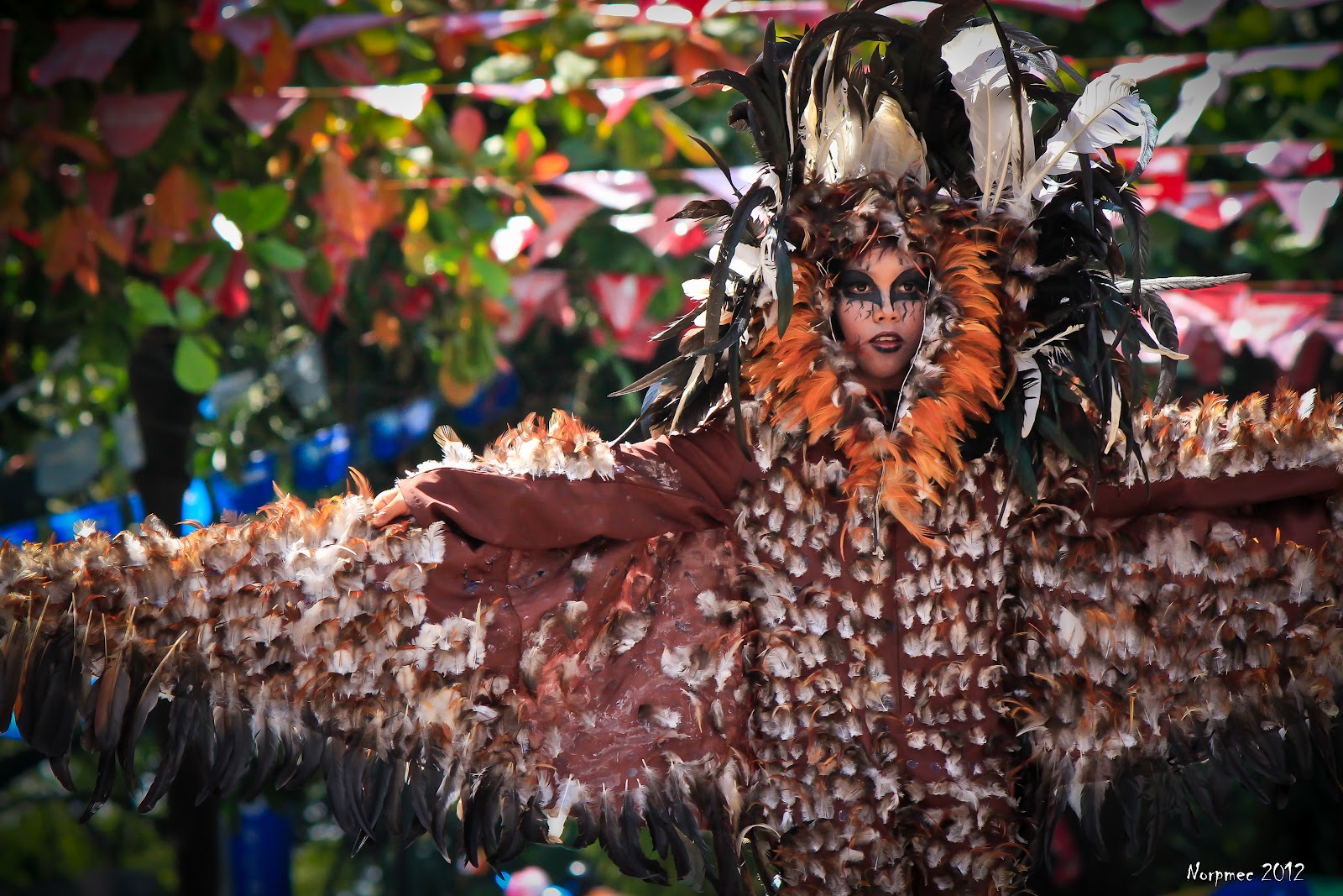 Norpmec Photography: KADAYAWAN 2012 & Side Trips