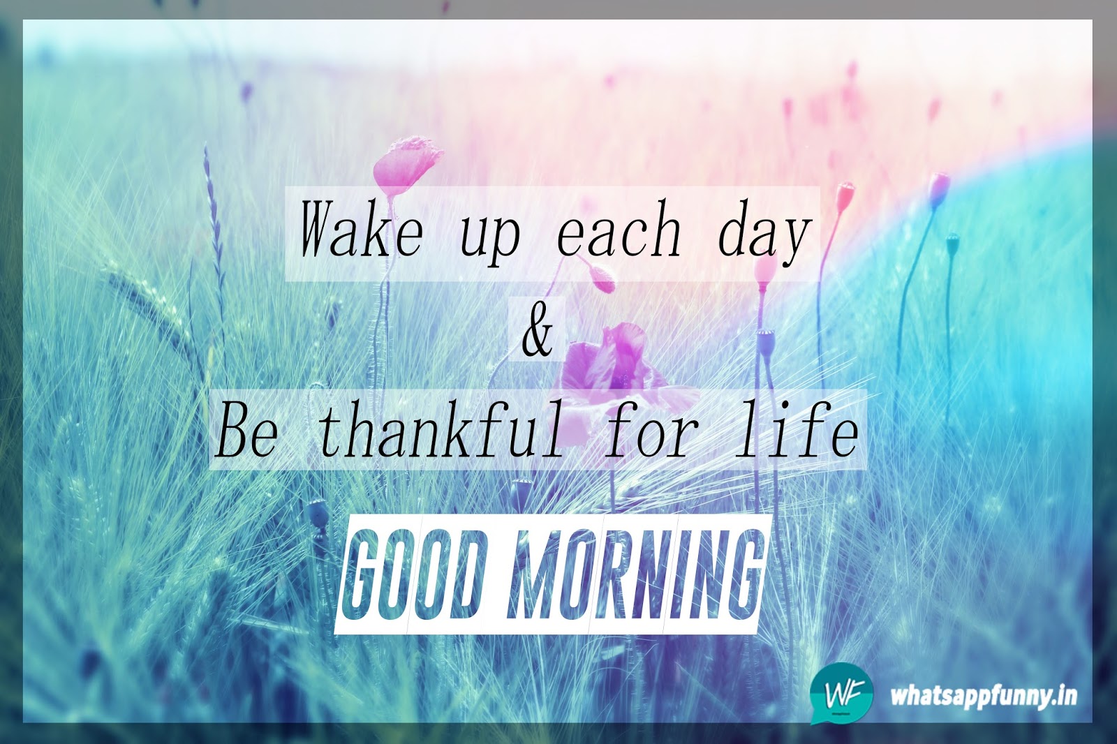 Stunning Examples Of Beautiful