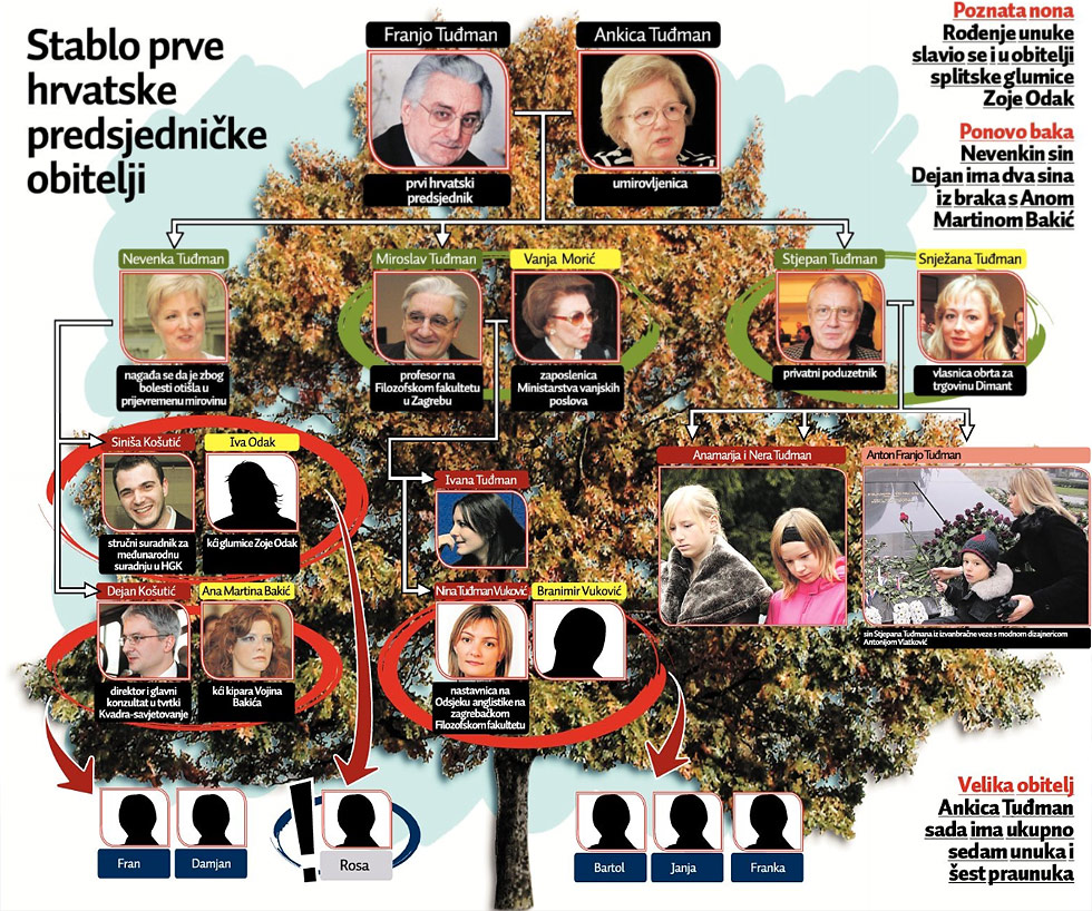 Kako napraviti obiteljsko stablo - Family tree