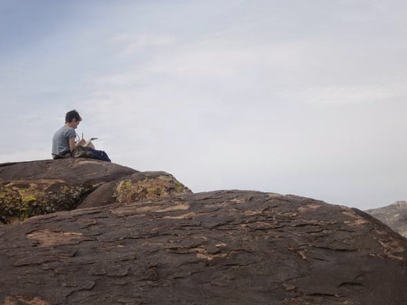 lost mountain wave: Mojave Desert Insects Writing and Art
