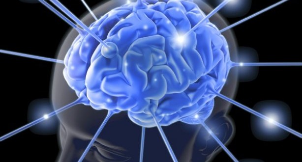 Las Enfermedades Neurológicas