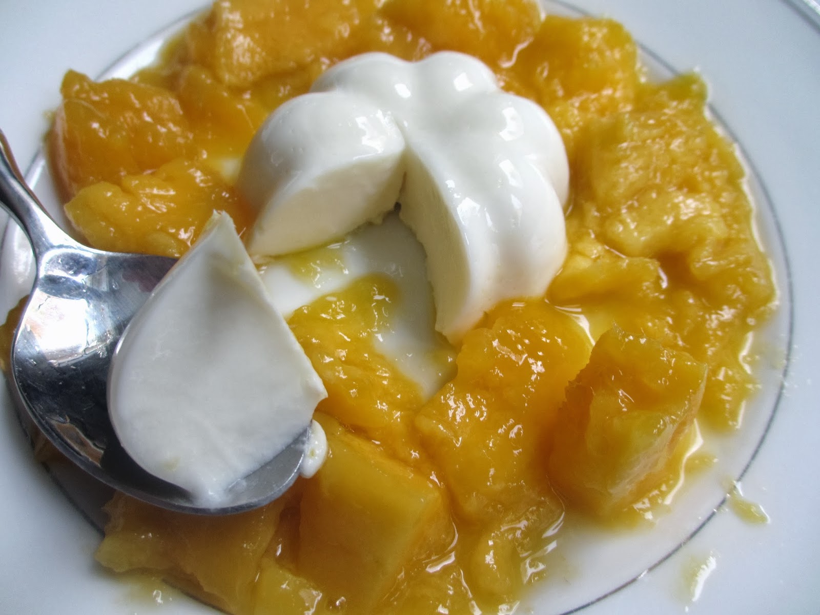 COOKING JULIA : PANNA COTTA COCO-MANGUE
