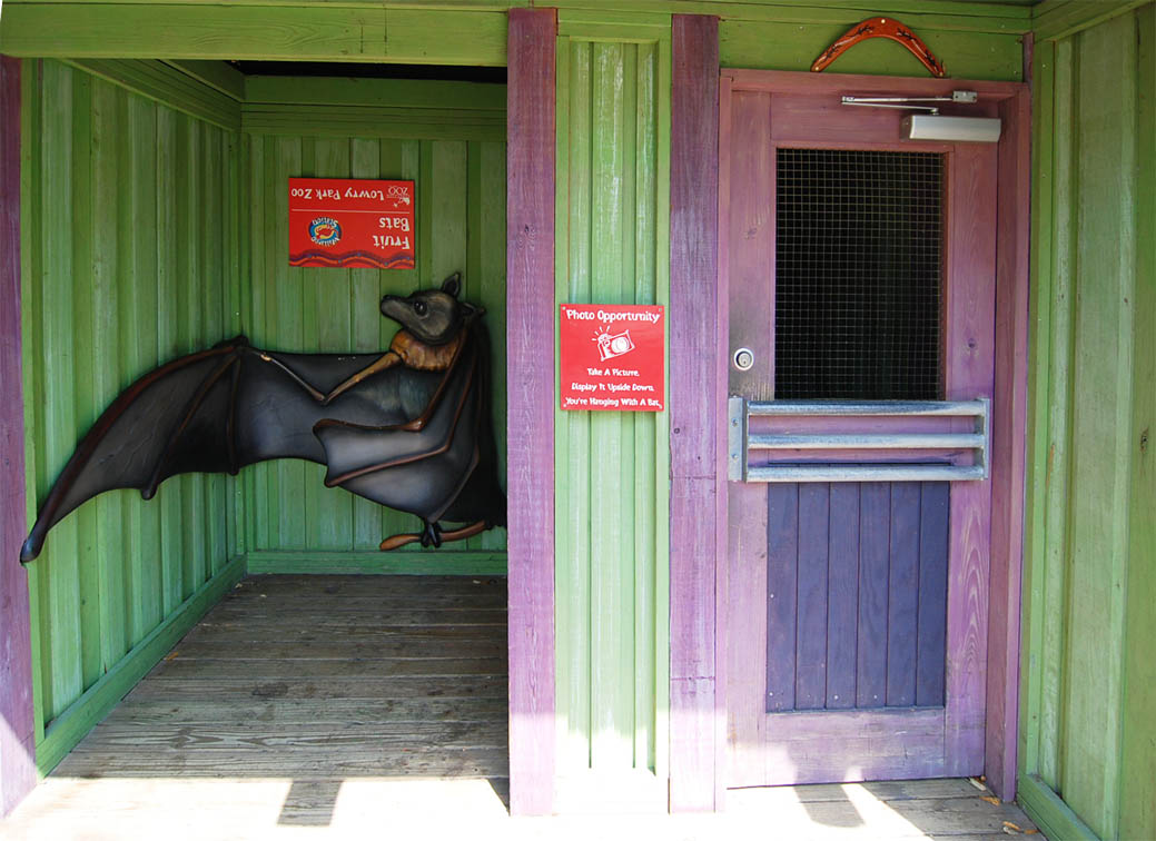 Zoo and Aquarium Design: Bats for a Halloween photo op