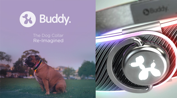 "Buddy" El collar inteligente para perros