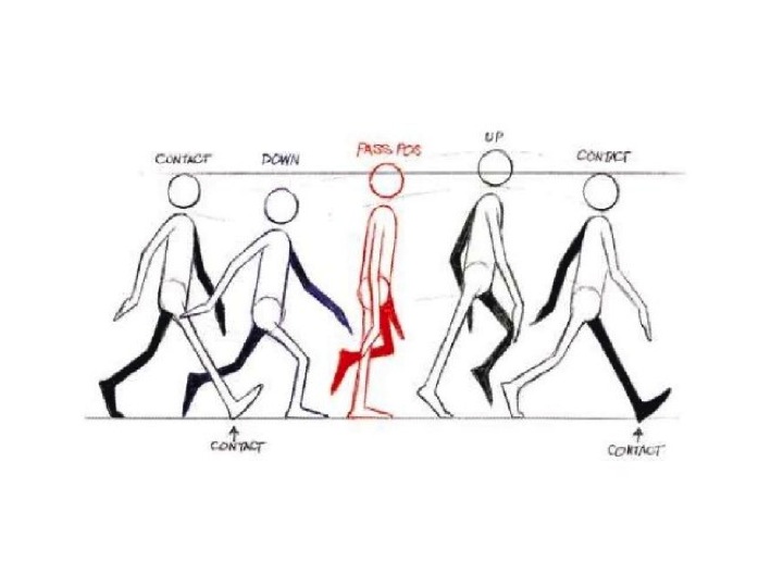 165-166: Walk Cycles