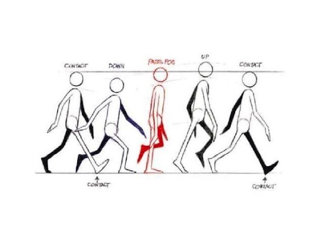 165-166: Walk Cycles