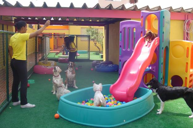 PET COCKER: Hotel e Creche