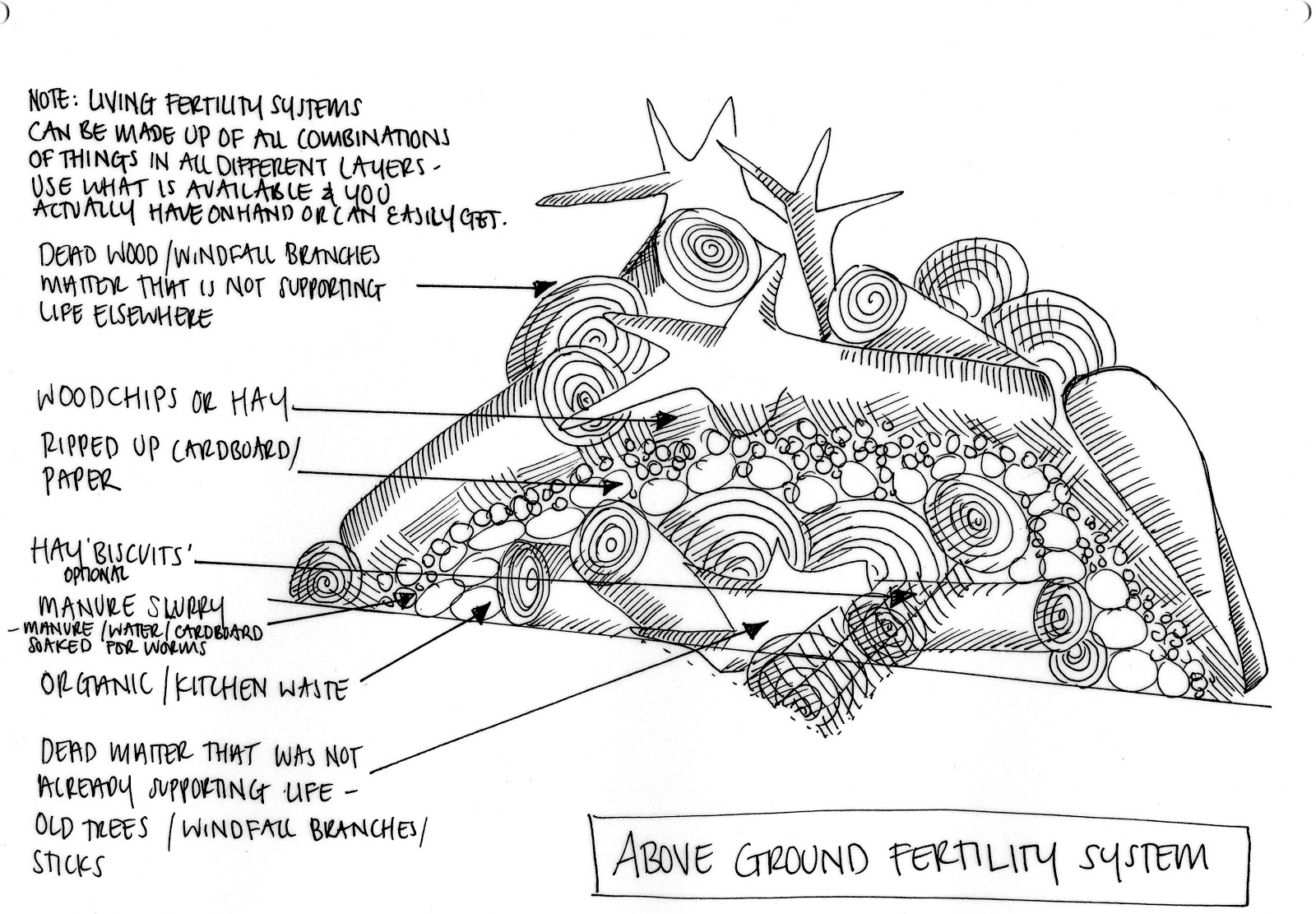 Living Fertility Systems | KENTUCKY LEARNING CENTRE
