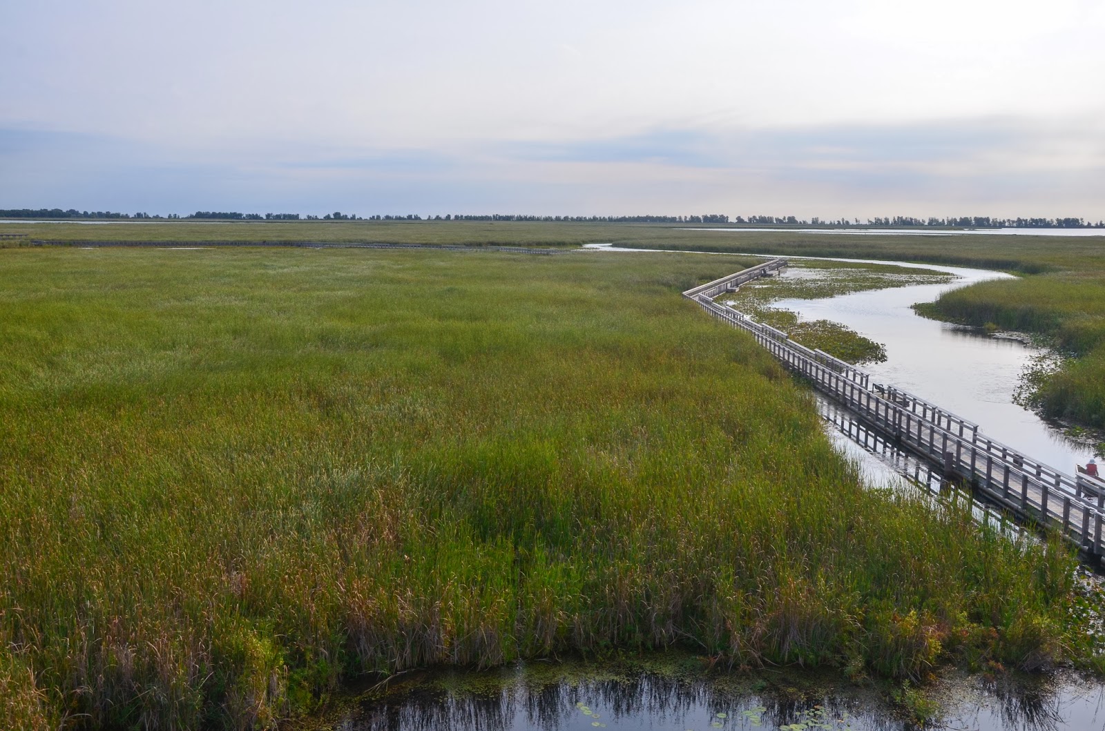 Photography by Christopher List: Point Pelee