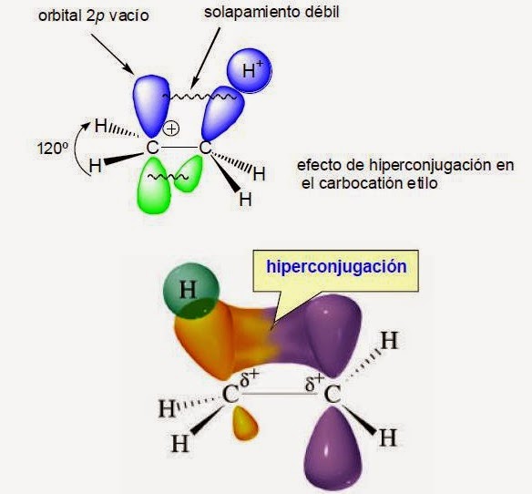 Quimica Orgánica BIO404