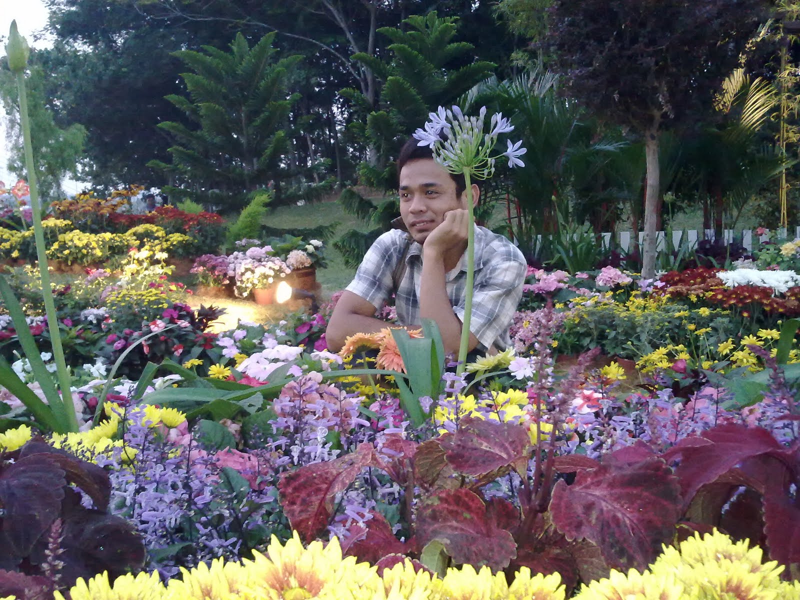 ''Mentari Senja Suria Pagi''