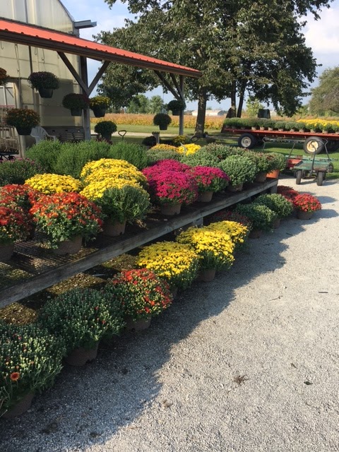 Sunnyside Greenhouses - Greenfield, IN
