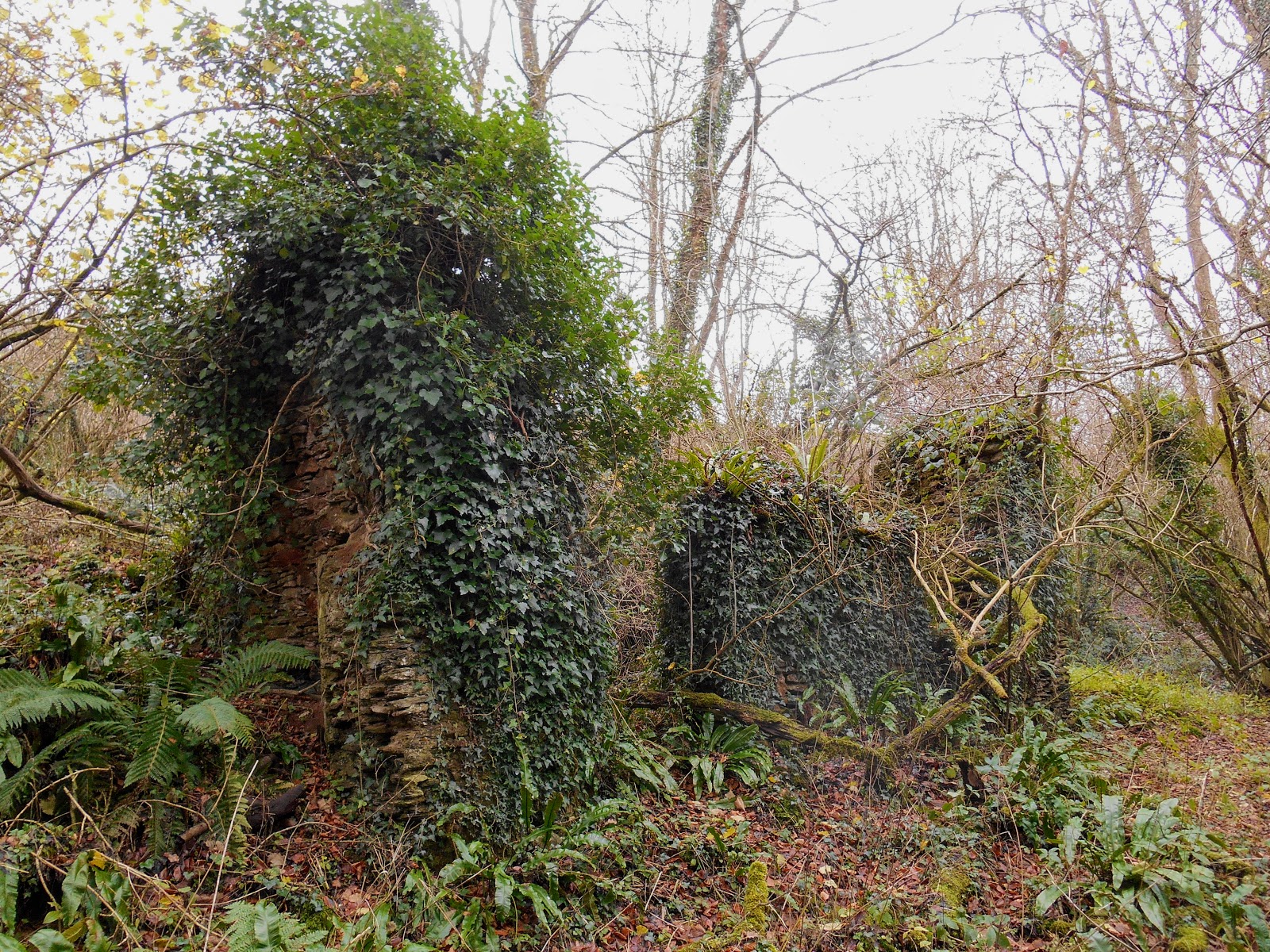 Off the Beaten Track in Somerset: The Lost Village of Clicket