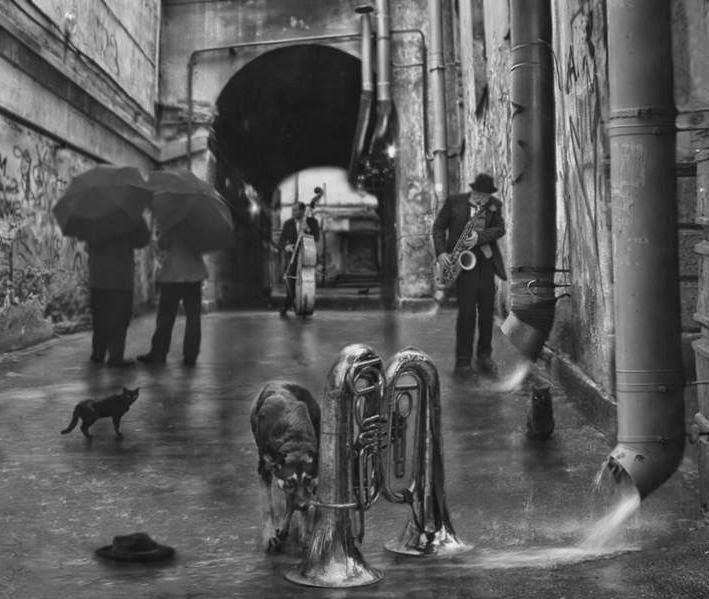 Alex Howitt Photography