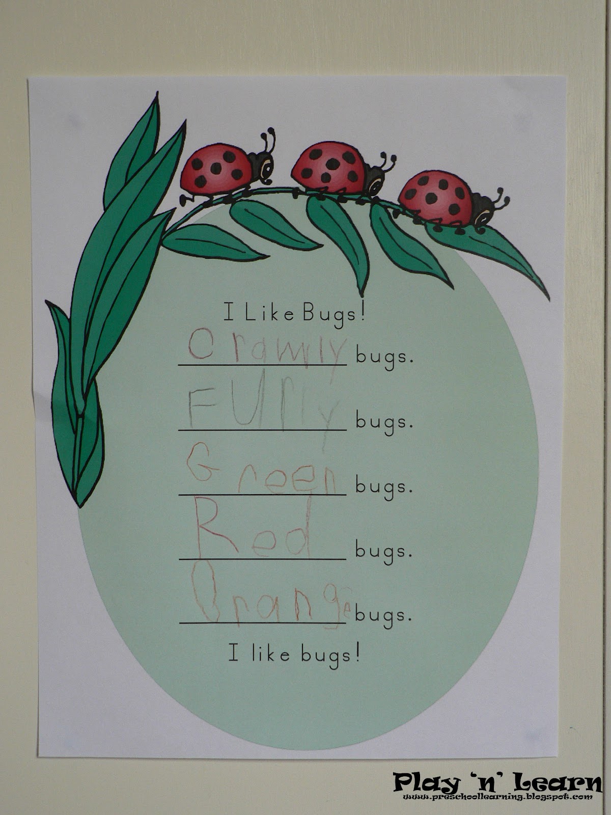 Play 'n' Learn: I Like Bugs!
