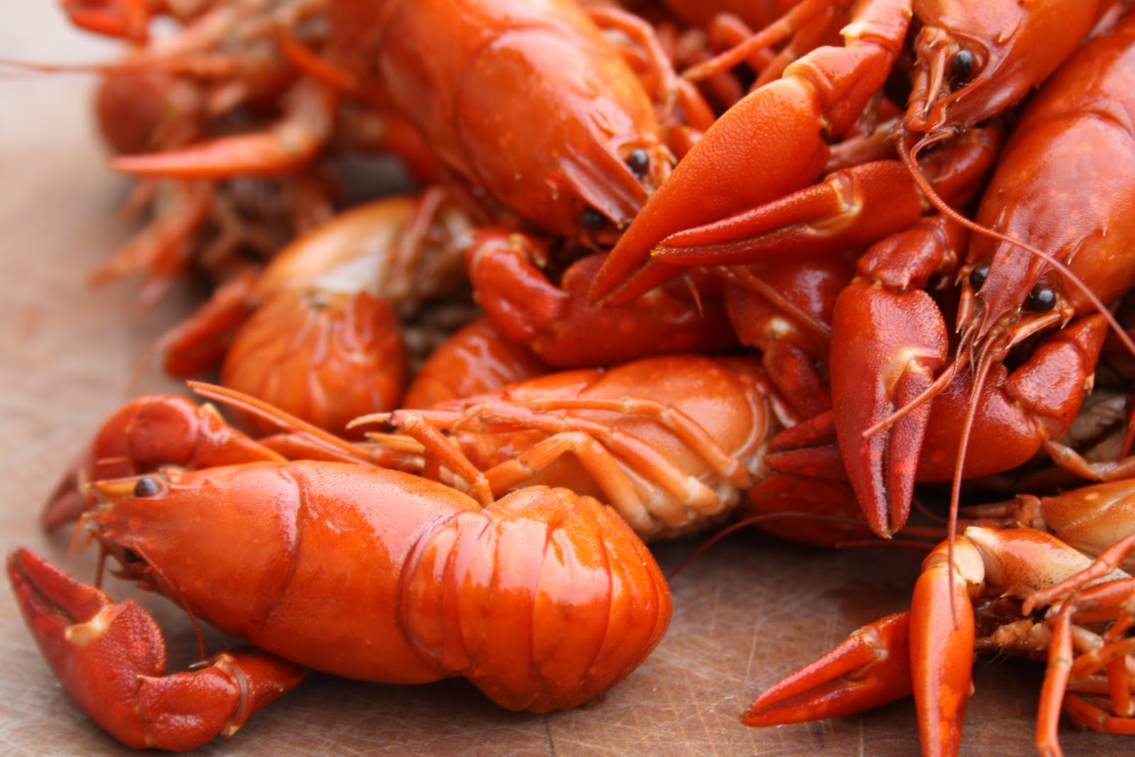 A Portrait of the Artisan: Potting Crayfish