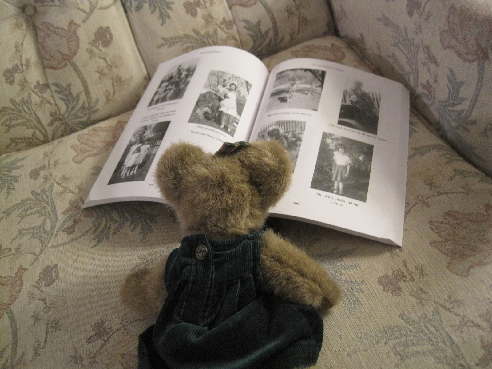 Are We Walking to Alaska?