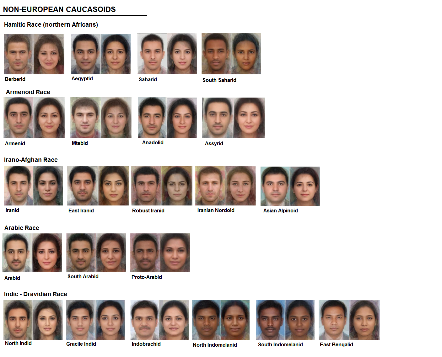 I still don't get what the Dravidian race is.... - AnthroScape