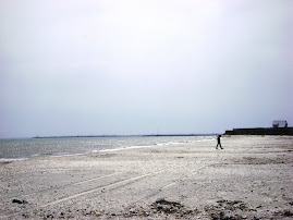 TERENURI CORBU: Mamaia Nord-Loturi de teren langa plaja