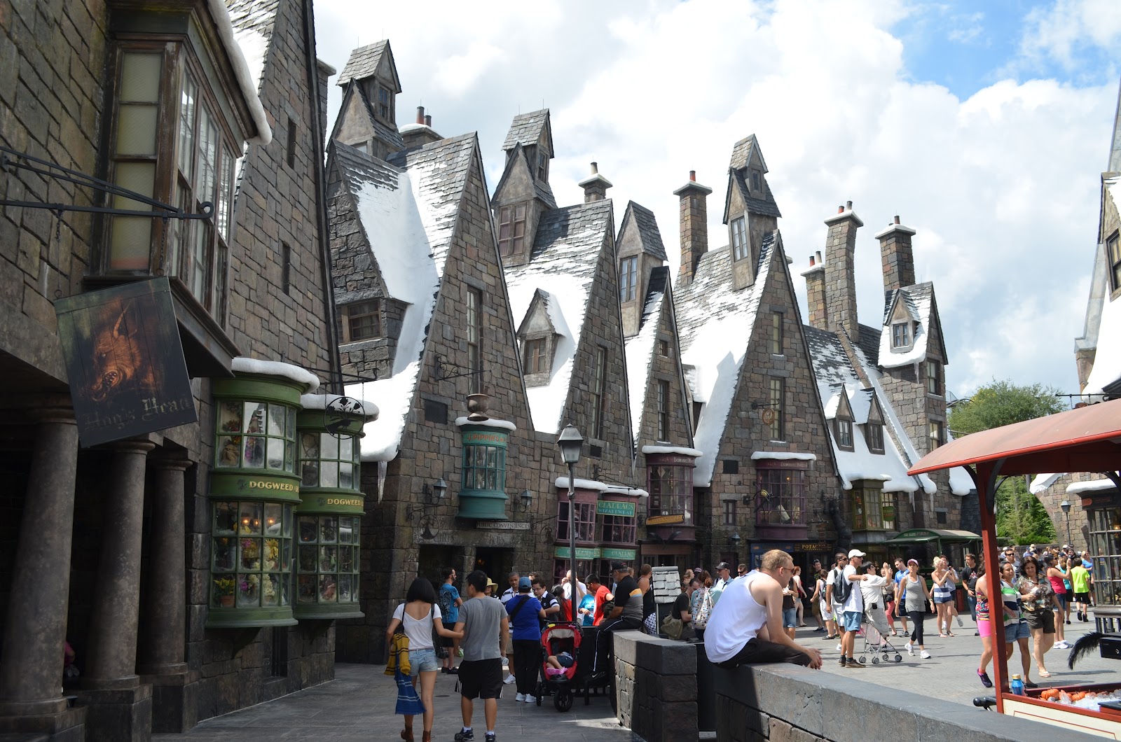 Insert Catchy Title Here: Side Note 6- Views around Hogsmeade