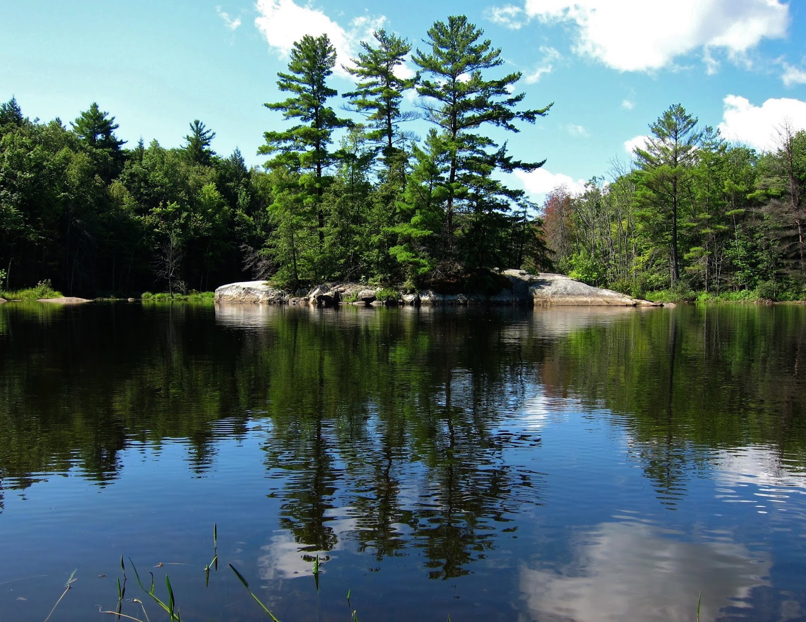 Saratoga woods and waterways: Beautiful River, Fine Companions