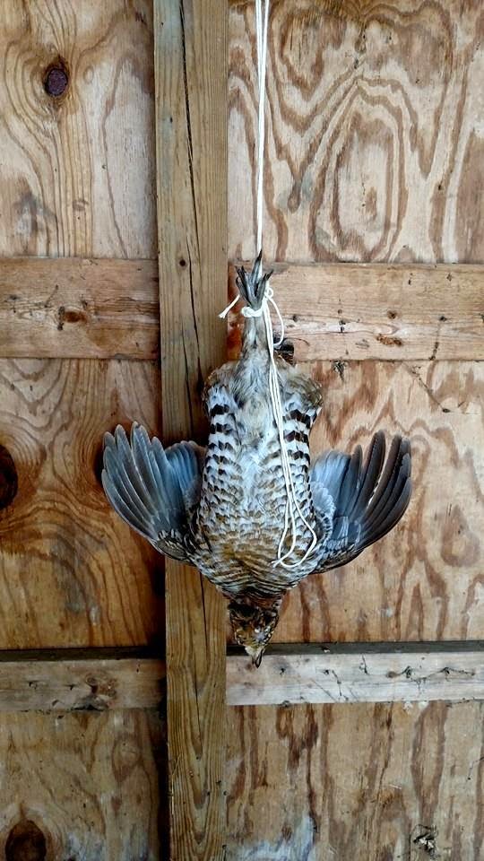 Roasted Ruffled Grouse a la Window