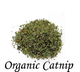 Gargoyles: Organic Catnip Herb