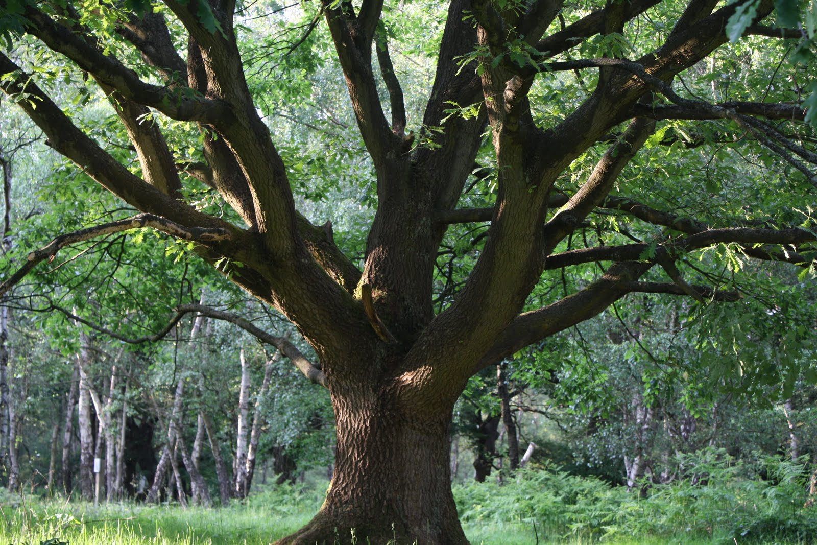 City & Guilds Photography Chris Level 2: Research - Theme One - Archie ...