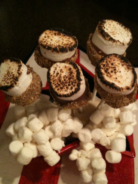 The Hillbilly Chicks: S'mores Pops {or S'mores on a stick}