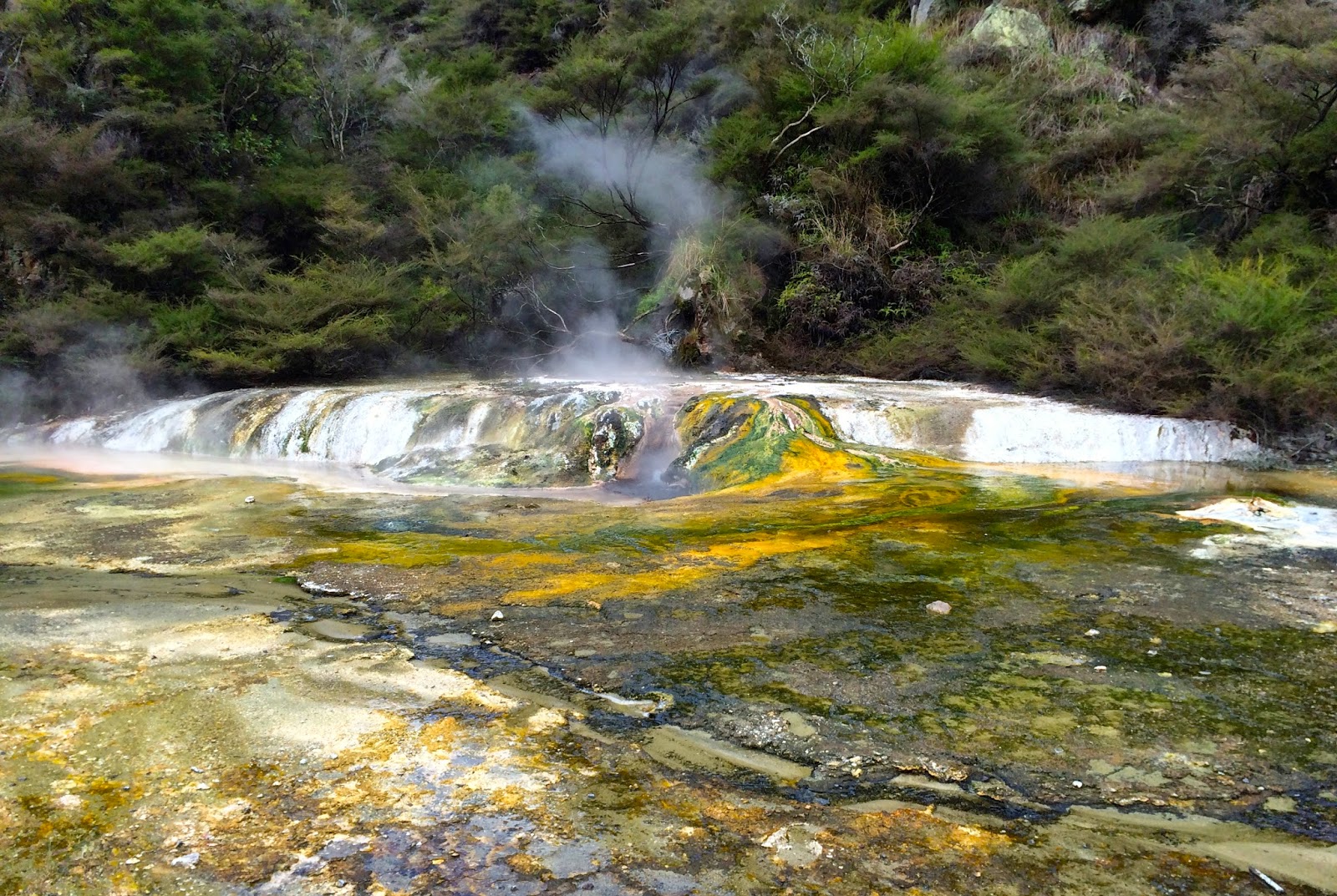 Take On Takapuna: Rotorua - Waimangu Volcanic Valley and Rainbow Springs